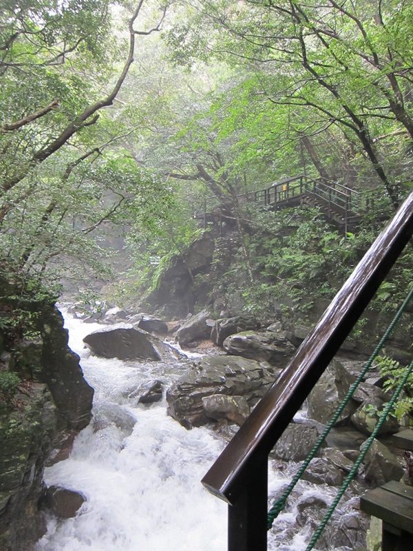 A Hike To Hiji Waterfalls and A Visit To Cape Hedo, Okinawa | Tali Landsman