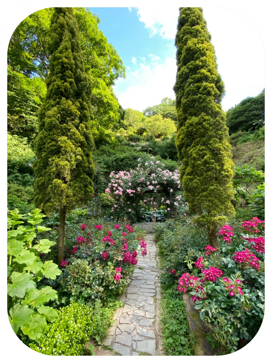 The Amazing Akao Herb And Rose Garden In Atami, Japan And Are We Nearly ...