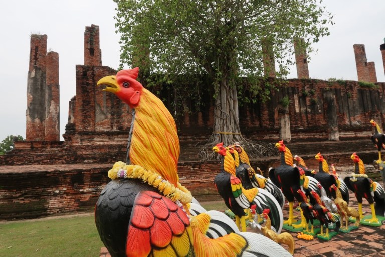 The Rooster and Chicken Statues in The Temples Of Ayutthaya, Thailand ...